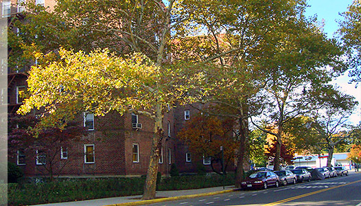 Dahill Gardens | Fasci Garden